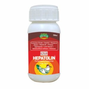Hepatolin - Leads Animal Health and Natural Solutions